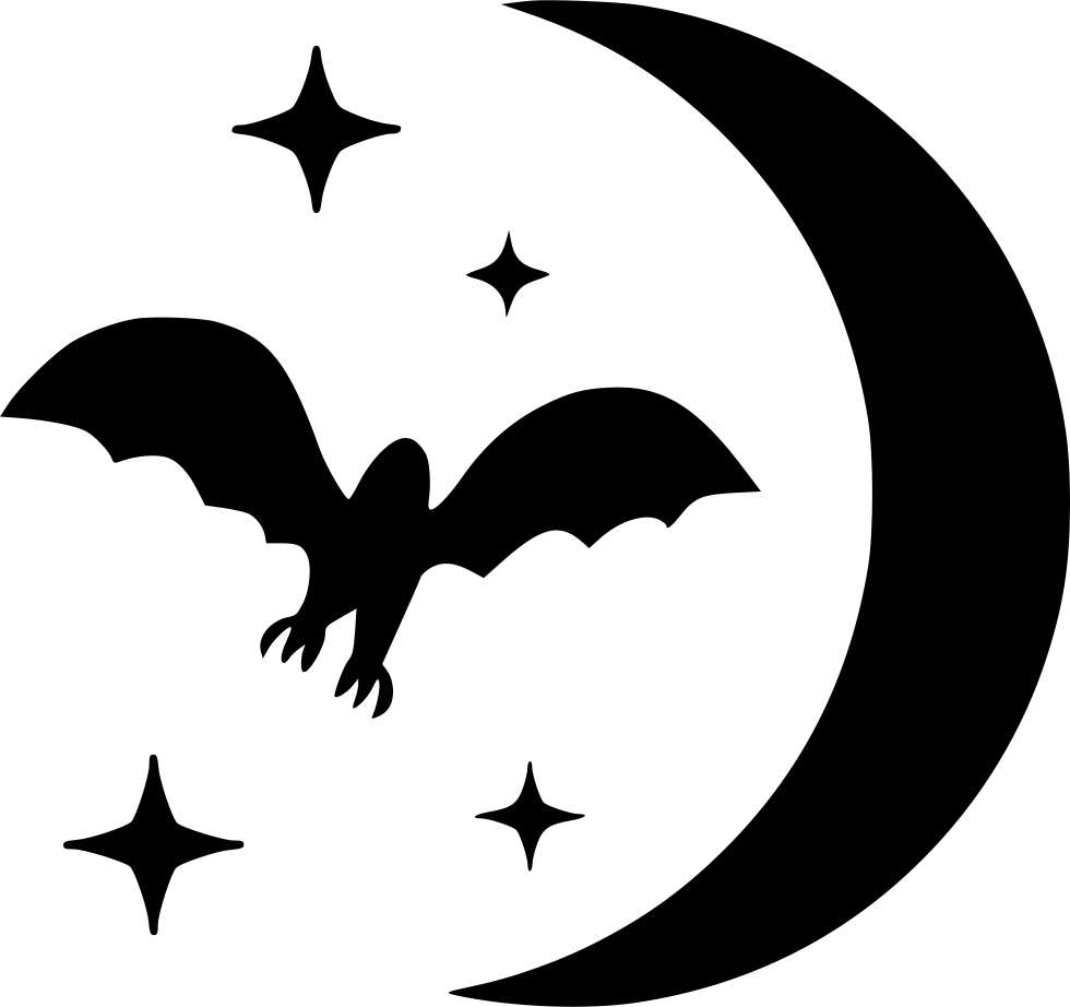 Download Bat Moon Stars Night Halloween Comments - Portable Network ...