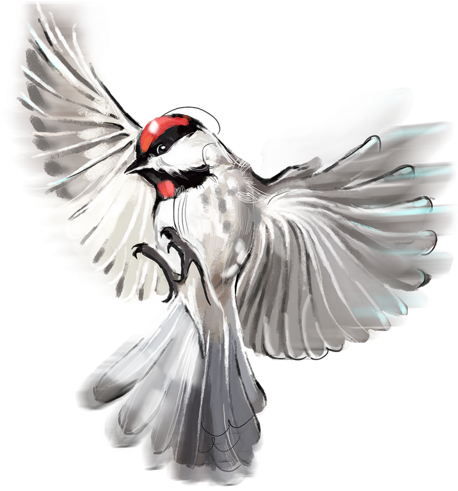 Download Hand - Full Size PNG Image - PNGkit