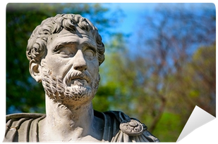 Download Bust Of Roman Emperor Wall Mural • Pixers® • We Live - Publius ...
