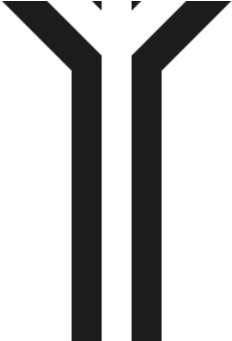 Download Algiz Rune Meaning - Algiz Rune - Full Size PNG Image - PNGkit