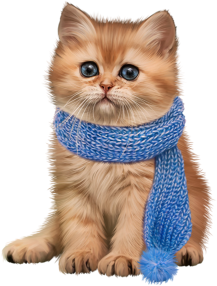 Download Share This Image - Chaton - Full Size PNG Image - PNGkit