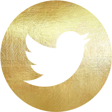 Download Twitter - Full Size PNG Image - PNGkit
