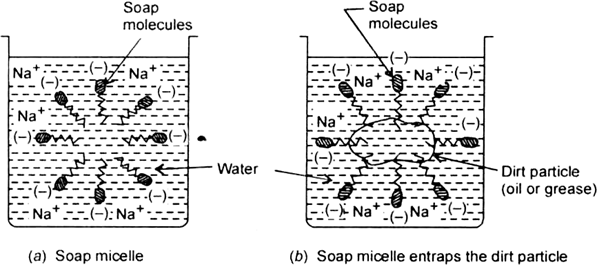 Download The Ionic Part Of Soap Molecule, However, Attaches - Cleansing ...