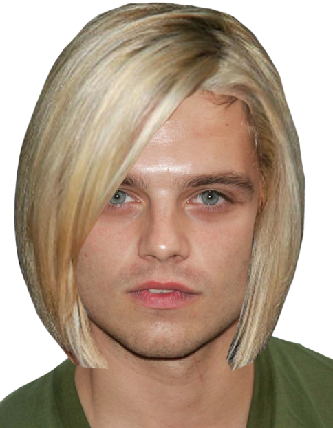Download Sebastian Stan Blond Hair - Full Size PNG Image - PNGkit