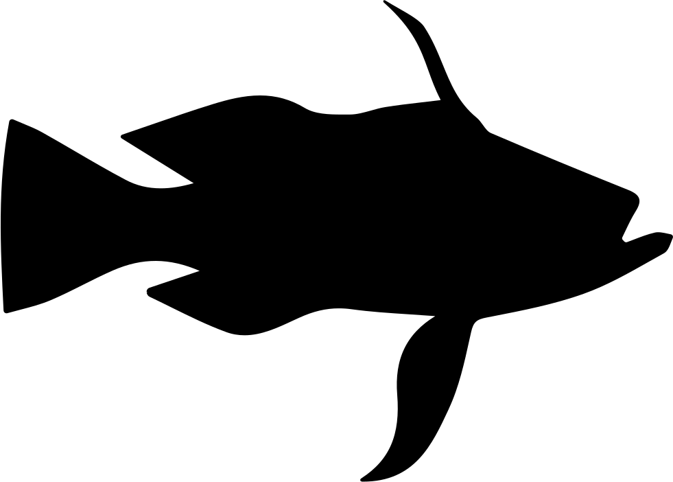 Download Longtail Bass Fish Shape - Bass - Full Size PNG Image - PNGkit