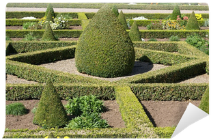 Download Box Hedges - Hedge - Full Size PNG Image - PNGkit