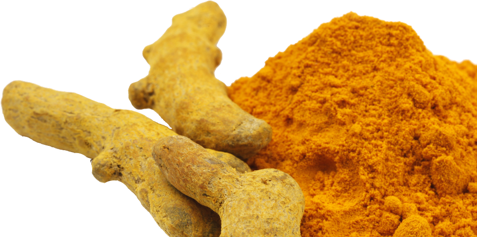 Download Turmeric - Full Size PNG Image - PNGkit