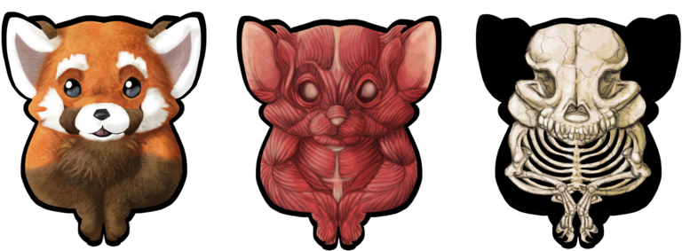 Download Png Being Correct By Meteor On Deviantart Meteorpanda - Red ...