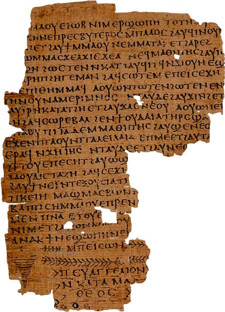 Download Near Shallow Lakes And Rivers Grew A Tall Reed Called ...