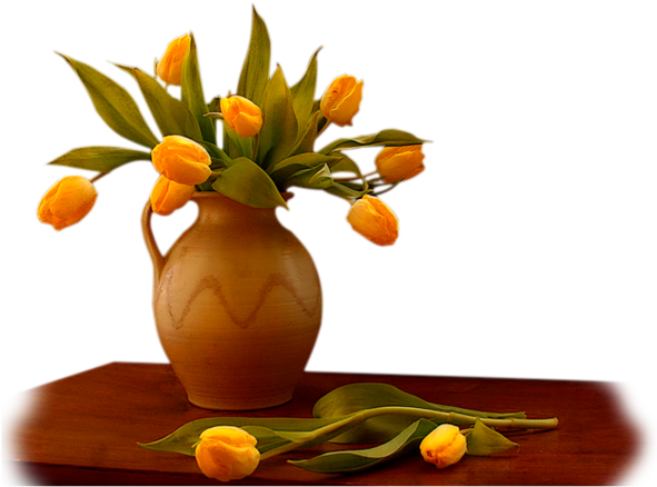 Download Visit - Still Life Photography - Full Size PNG Image - PNGkit