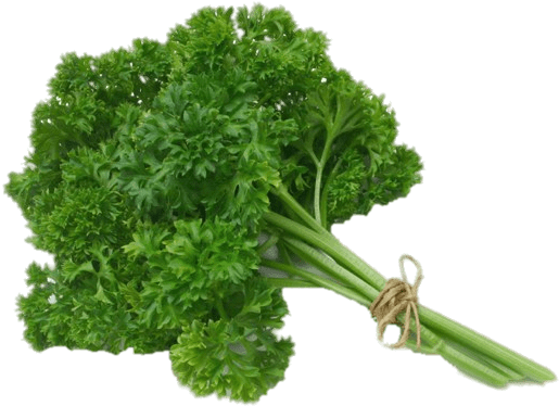 Download Transparent Parsley - Parsley Png - PNGkit