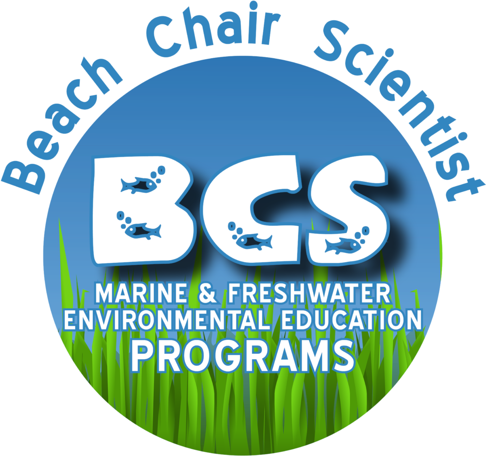 Download Beach Chair Scientist Programs - Sheppard Towner Act Of 1921 ...