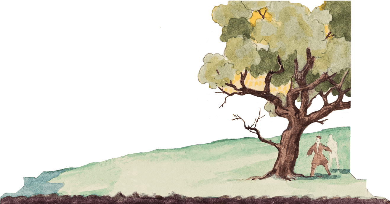 Download Sandro Akhmeteli Sandro Akhmeteli - Plane-tree Family - Full ...