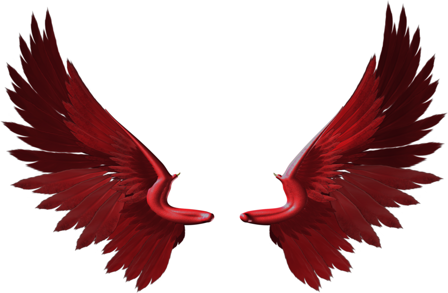 Download Share This Image - Pretty Wings - Full Size PNG Image - PNGkit
