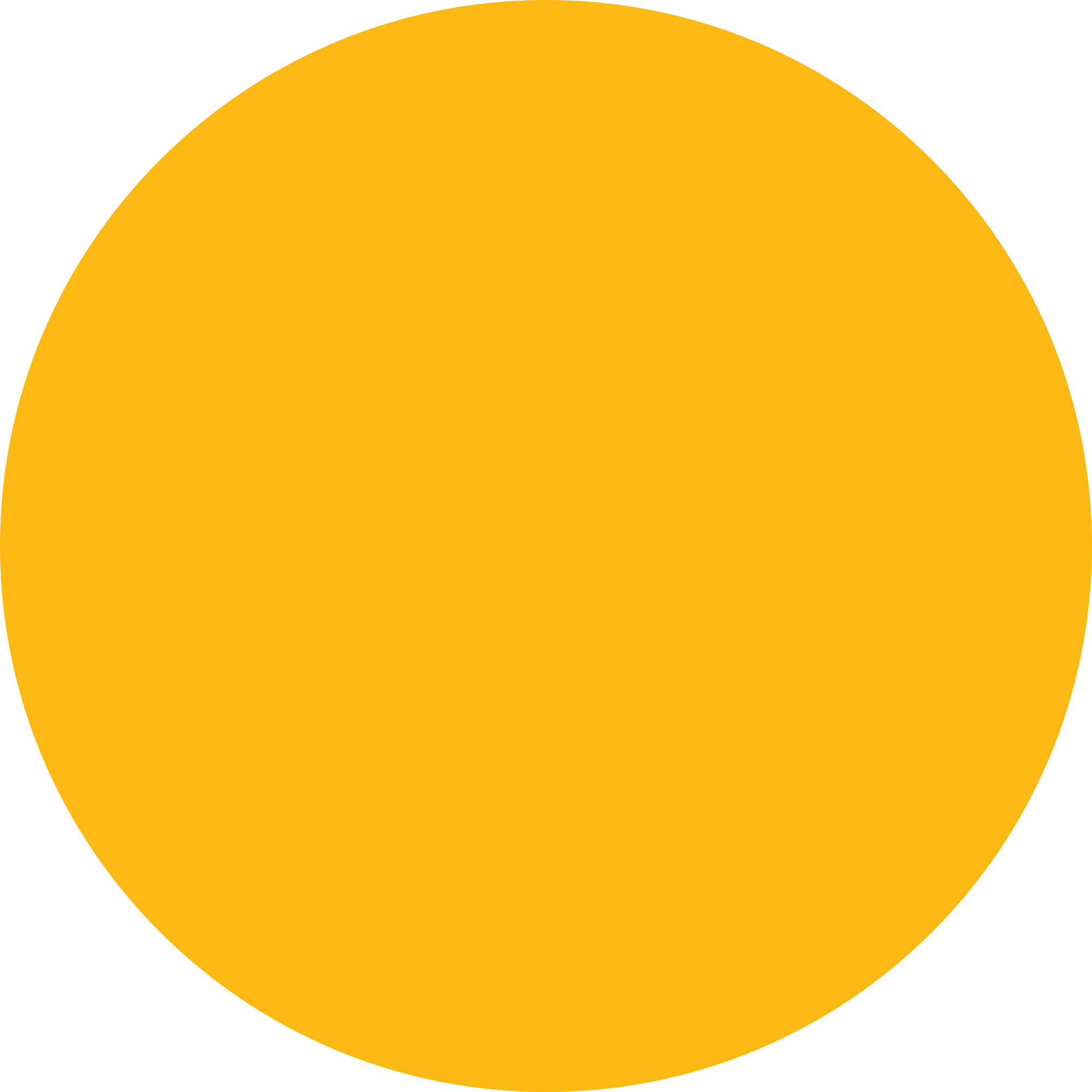 Download Transparent Lacmta Circle Gold Line - Transparent Colour Circle Png - PNGkit