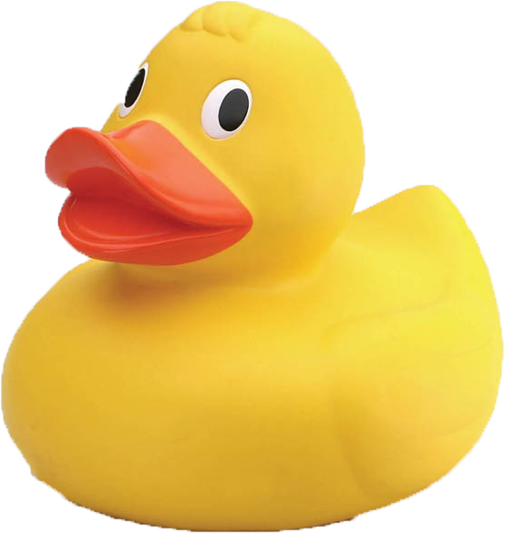 Download Rubber Duck Transparent Png - Full Size PNG Image - PNGkit