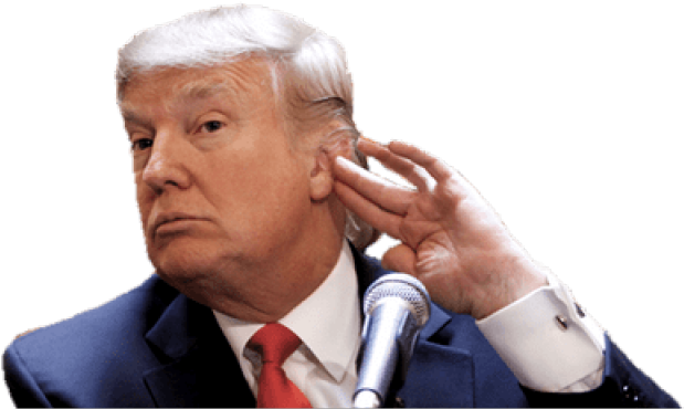 Download Donald Trump - Full Size PNG Image - PNGkit