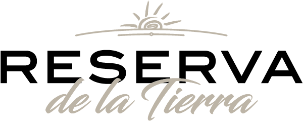 Download Logo - Federal Reserve Bank Of Boston Logo - Full Size PNG ...