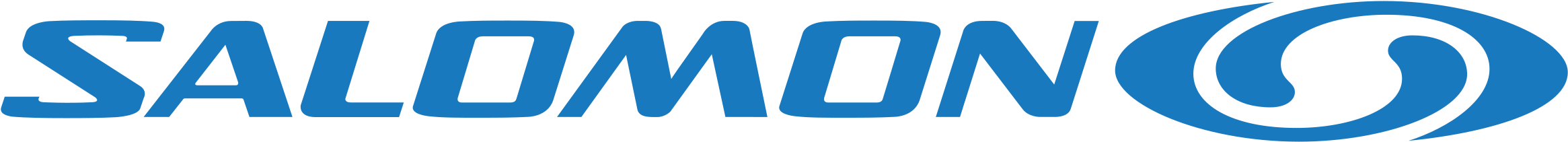 Download Salomon Logo Png Transparent - Acai Berry Lip Balms With A ...