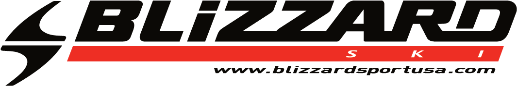 Download Blizzard Logo Cmyk Url-01 - Tecnica - Full Size PNG Image - PNGkit