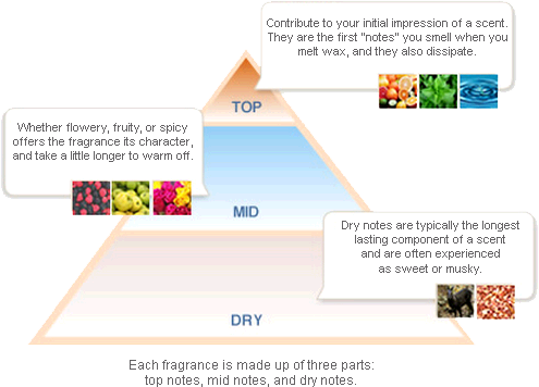 Download Fragrance Pyramid Structure - Scentsy Wax Ingredients - Full ...