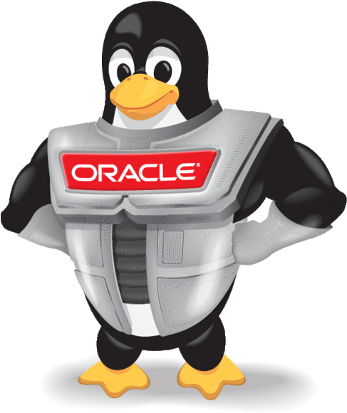 Download Oracle Logo Png Download - Oracle Linux Logo - Full Size PNG ...