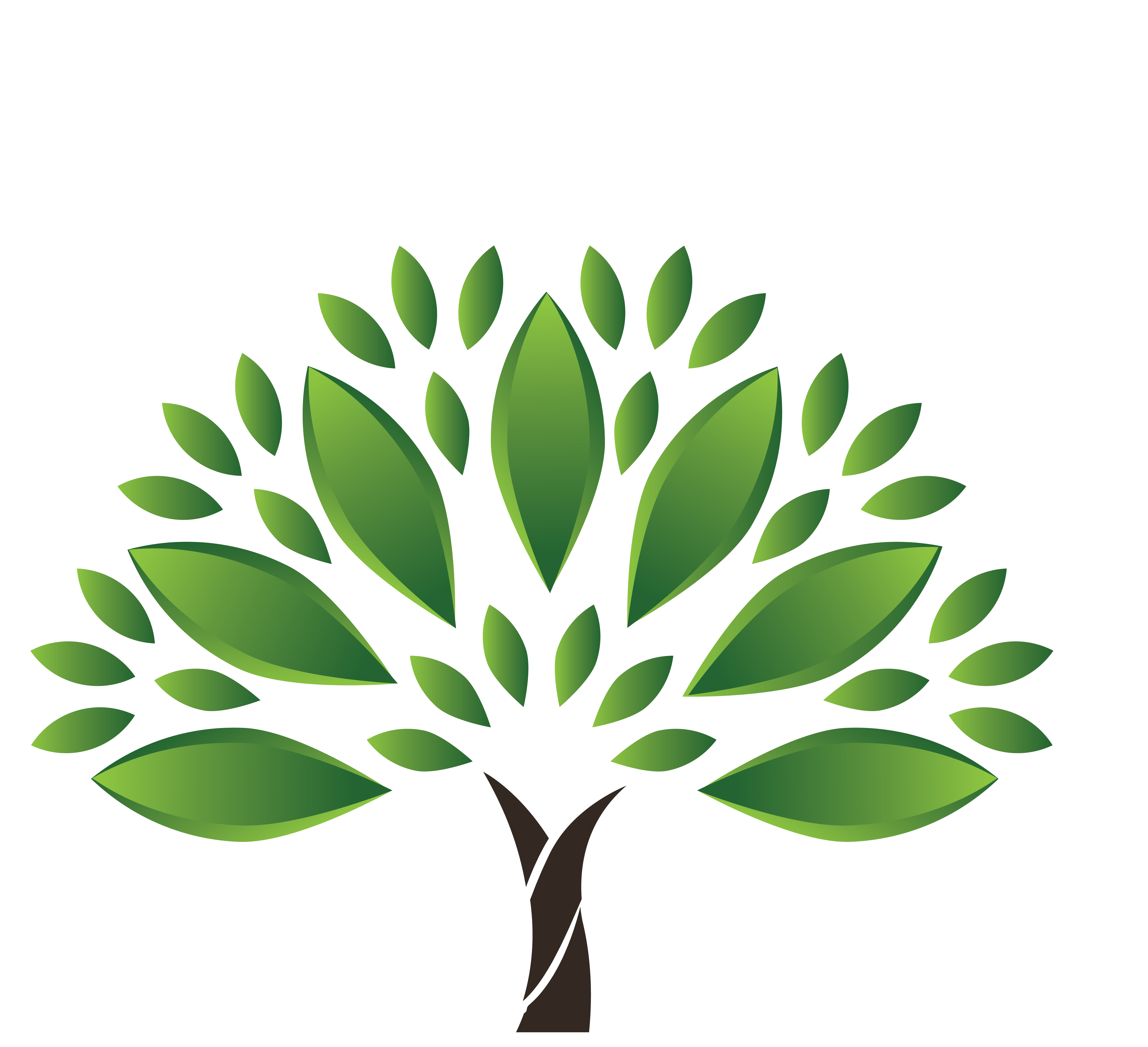 Download Logo - Lucas Tree Care, Inc. - Full Size PNG Image - PNGkit