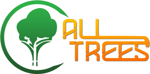 Download All Trees Casper Wy - Full Size PNG Image - PNGkit