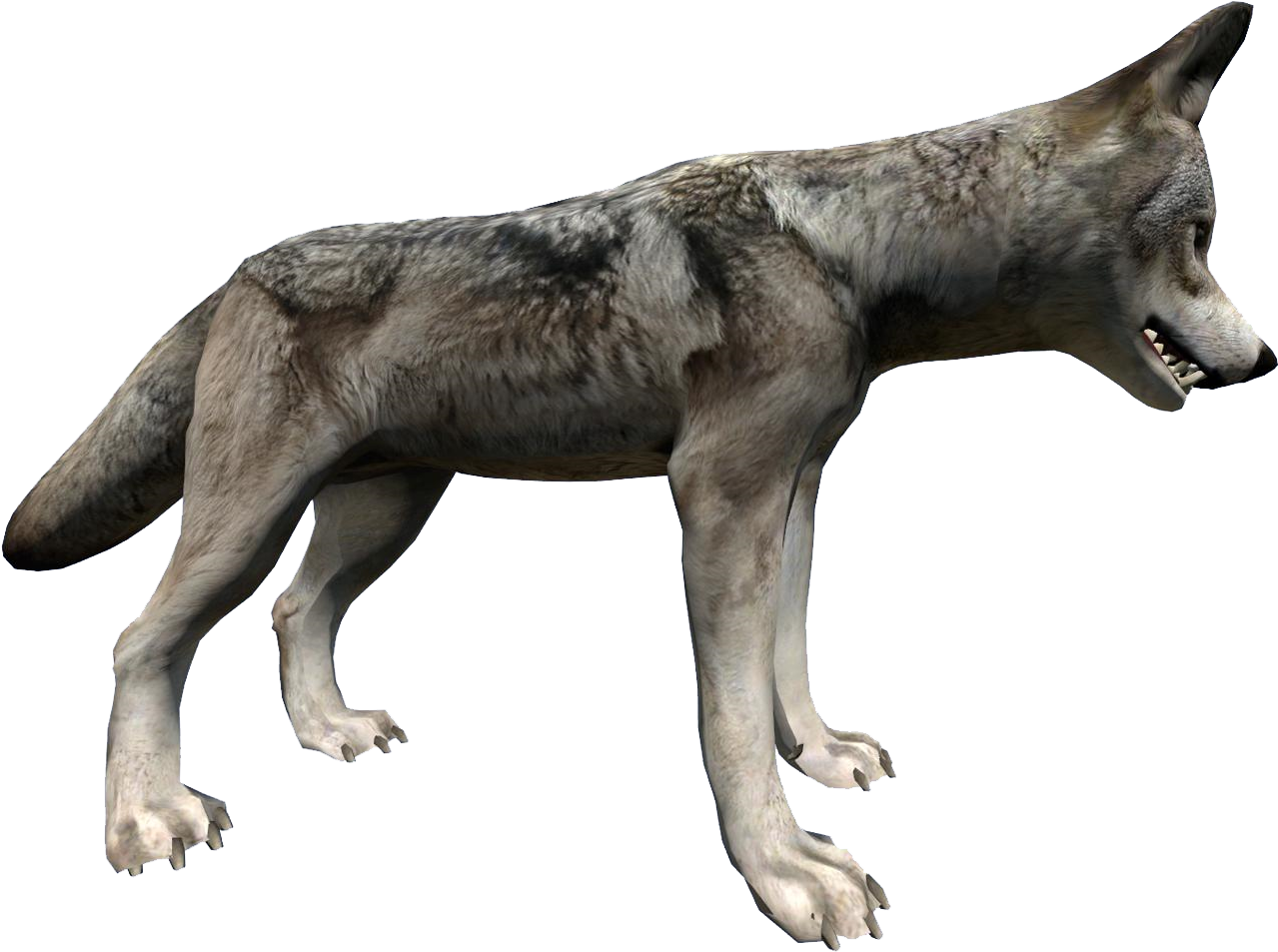 Download Wolf Side - Wolf - Full Size PNG Image - PNGkit
