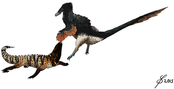 Download Archeroraptor By Plastospleen - Acheroraptor Saurian - Full ...