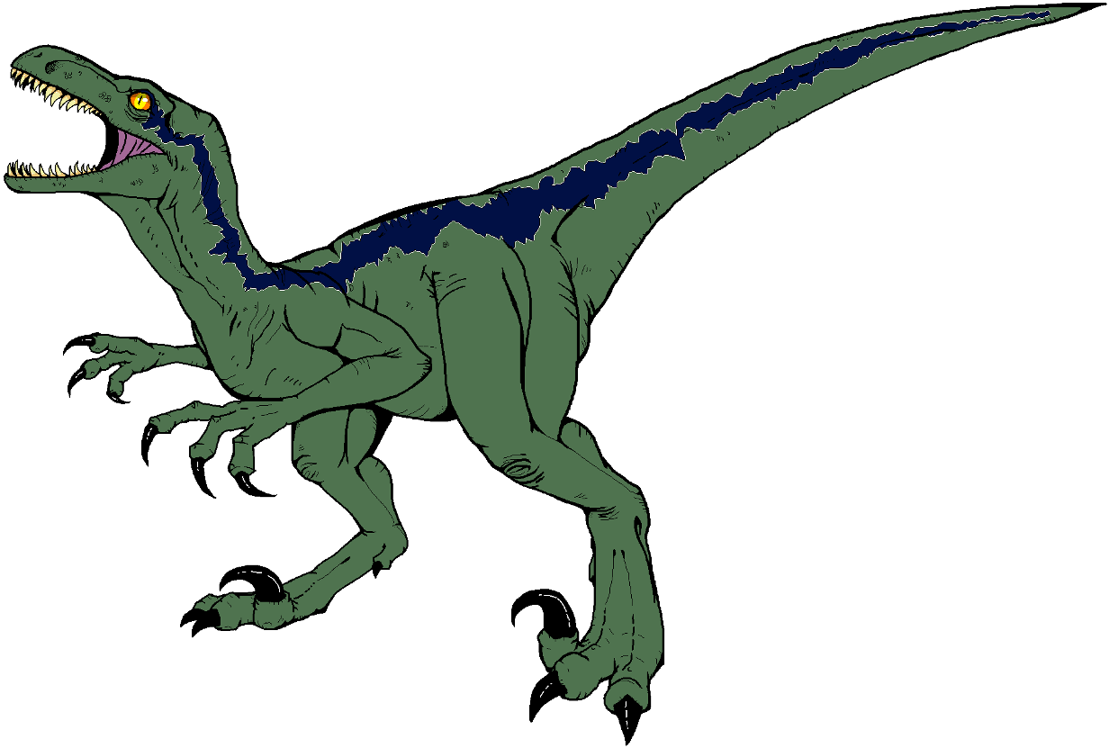 Download Blue The Raptor - Velociraptor - Full Size PNG Image - PNGkit