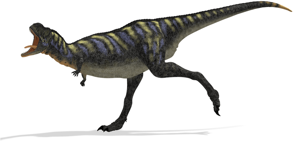 Download Dinosaur Aucasaurus Animal Reptile Creatur - Aucasaurus Png ...