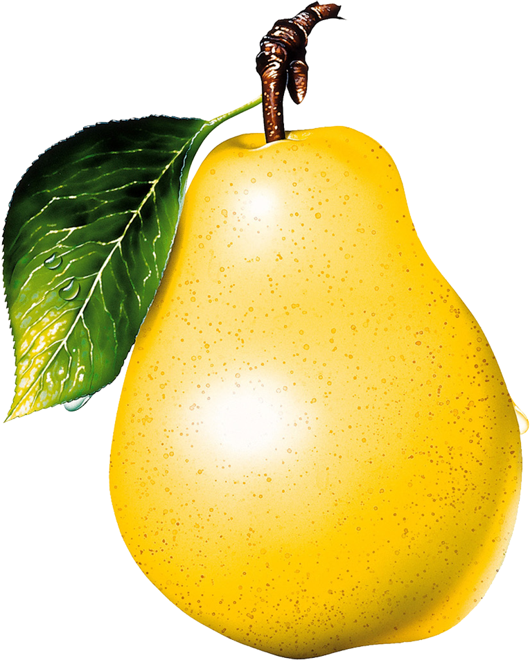 Download Transparent Fruit Yellow Pear - PNGkit