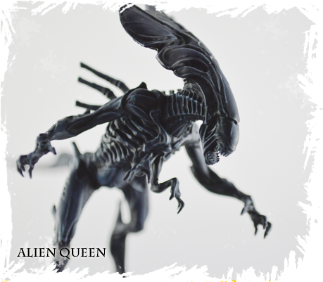Download Alien Queen - Avp The Hunt Begins Alien Queen - Full Size PNG ...