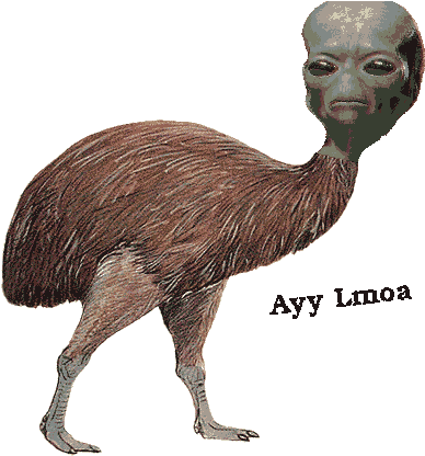 Download Transparent The Dankest Of Memes - Dank Bird Memes - PNGkit