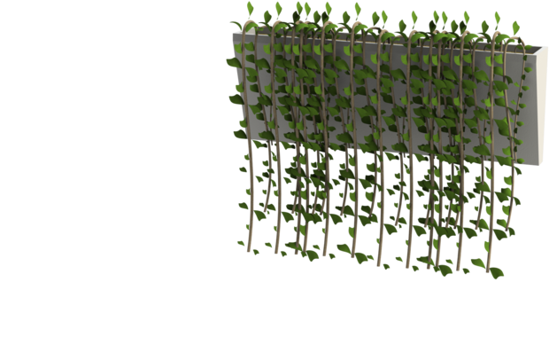 Download Hanging Plants Cad - Full Size PNG Image - PNGkit