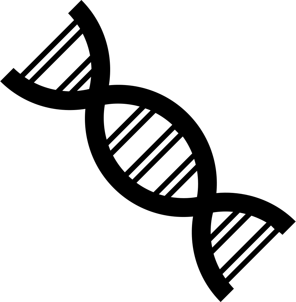 Download Dna Strand - - Genetics Black And White - Full Size PNG Image ...