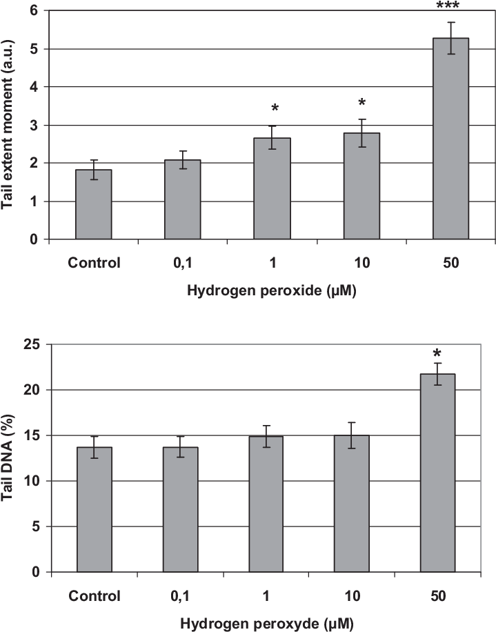 Download Dna Strand Breaks In Cells Isolated From Embryos Of - Dna ...