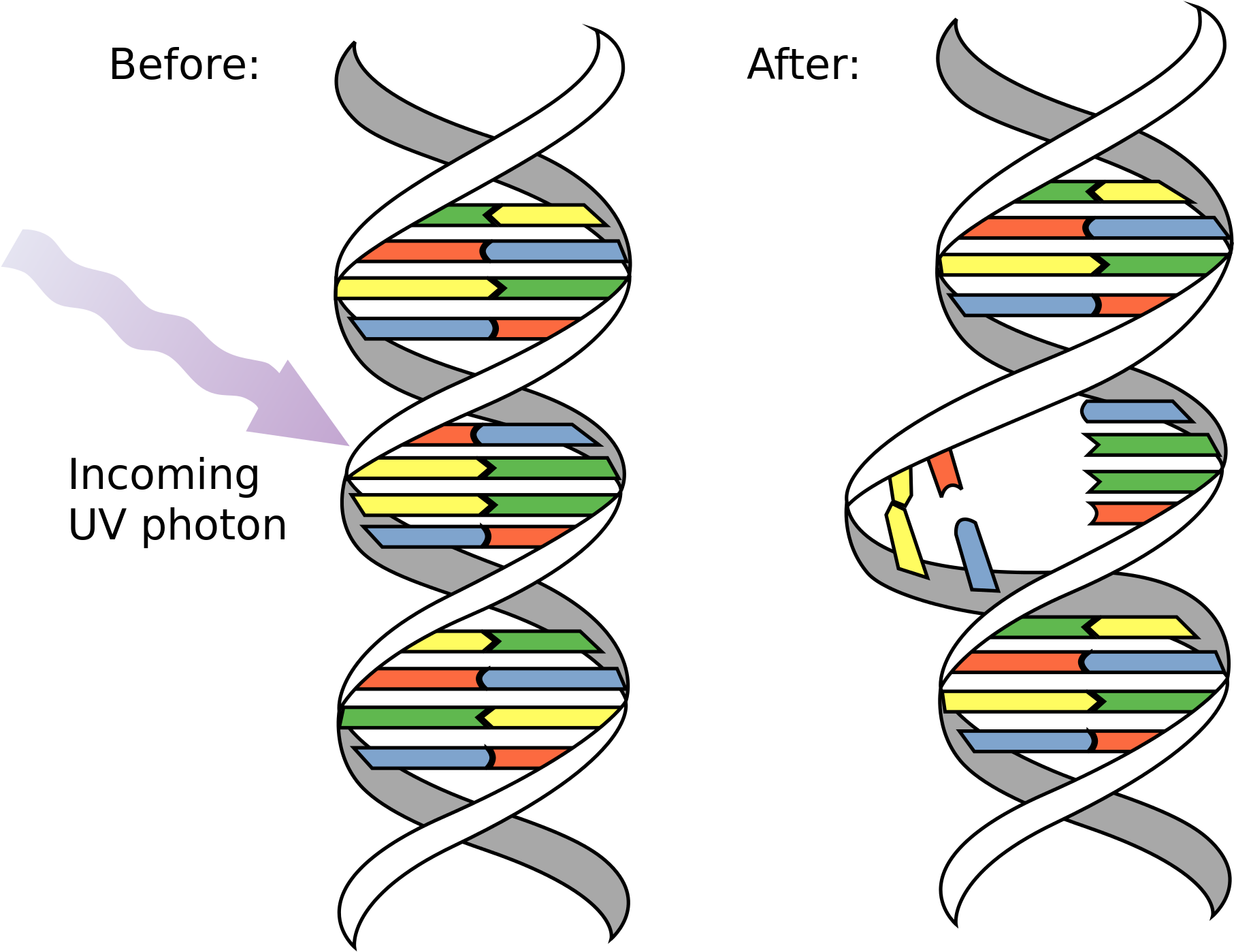 Download Open - Dna Mutation - Full Size PNG Image - PNGkit