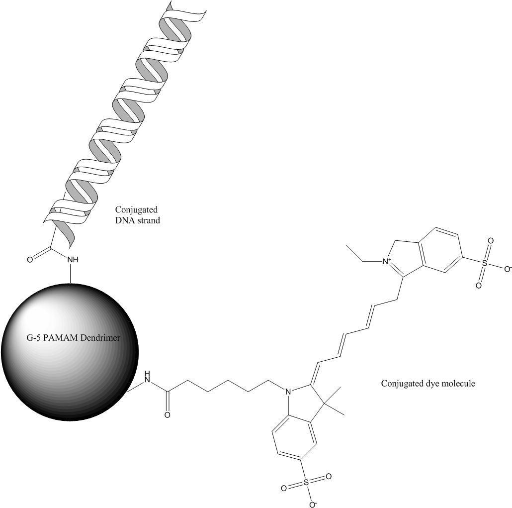 Download 538 Gene Delivery - Dna Dendrimer Conjugate - Full Size PNG ...