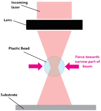 Download A Schematic Of A Simple Optical Trap Acting On A Transparent ...