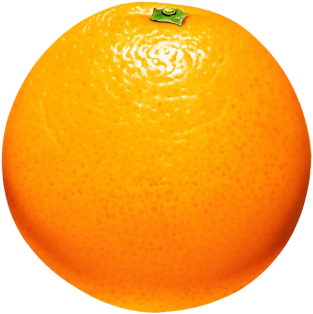 Download Orange Png Clipart - Fruits In Circle Shape - Full Size PNG ...