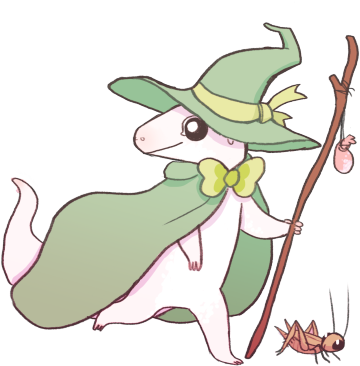 Download Lizard Wizard Series - Lizard In A Wizard Hat - Full Size PNG ...