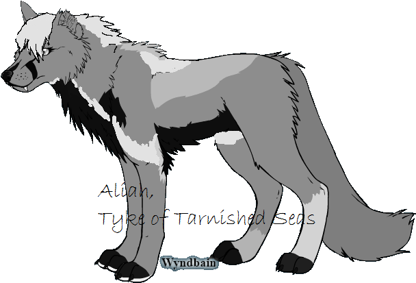 Download Llama - Wolf - Full Size PNG Image - PNGkit