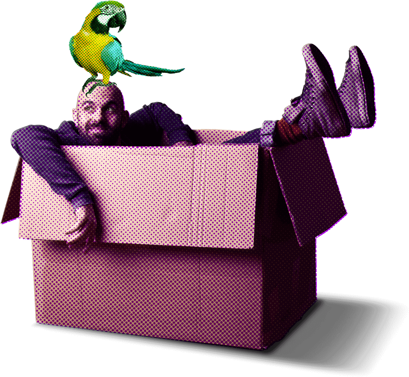 Download Content Capture - Portable Network Graphics - Full Size PNG ...