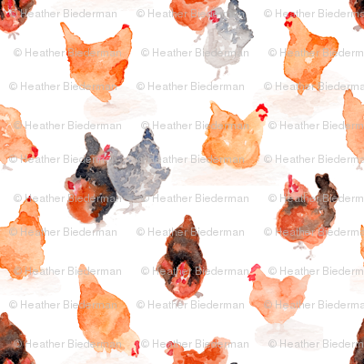 Download My Backyard Flock - Fowl - Full Size PNG Image - PNGkit