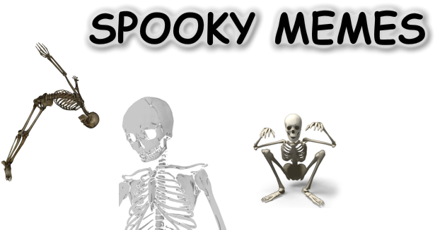 Download Meme - Full Size PNG Image - PNGkit