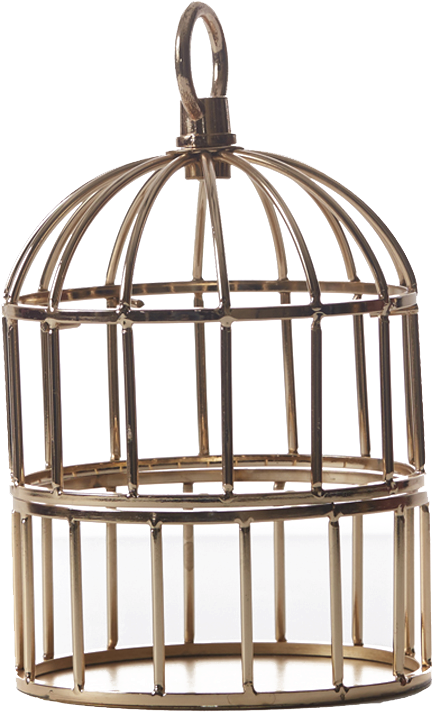 Download Cage Png - Full Size PNG Image - PNGkit