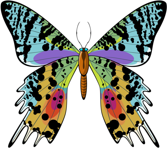 Download Madagascan Sunset Moth Png Clip - Urania Ripheus For Sale ...