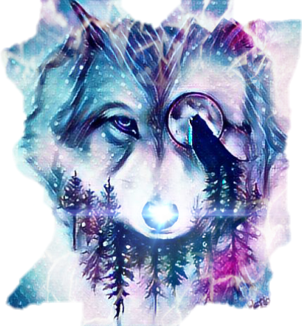 Download Sc Wolves Ry - Full Size PNG Image - PNGkit